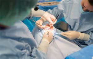 Conceptos básicos sobre asepsia ¿Qué tipos existen?